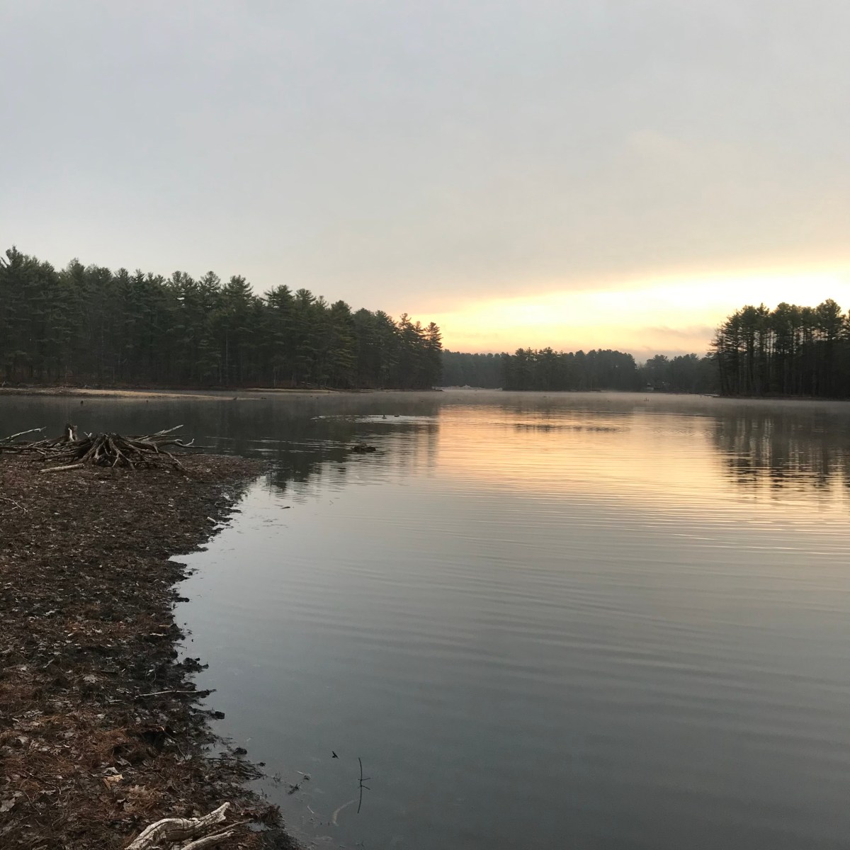 Field Pond Fishing Overview – Current Angler