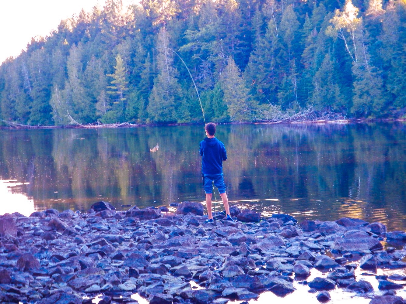 A Little Love for Fallfish – Current Angler