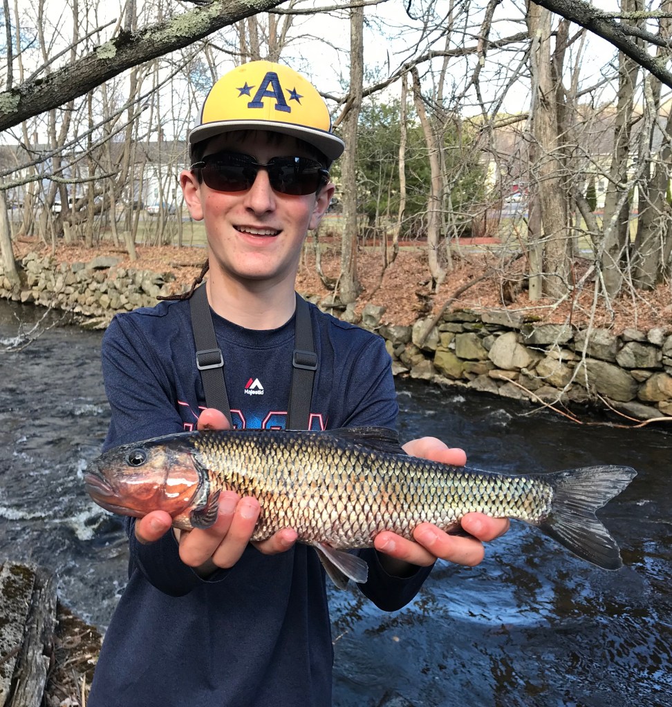 A Little Love for Fallfish – Current Angler