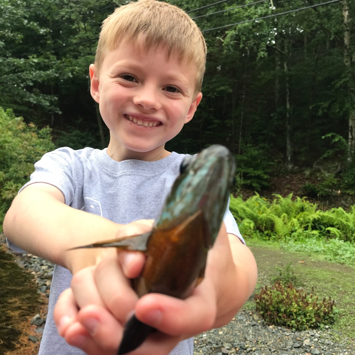 Adventures in Teaching Fishing Pt. 2 – Current Angler