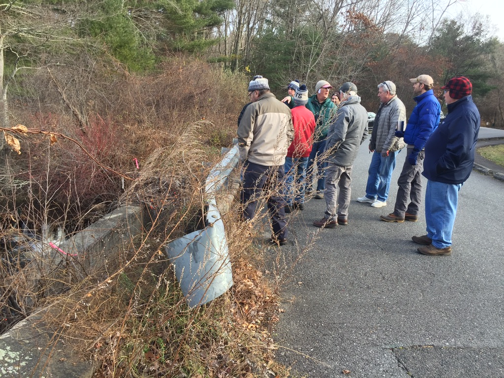 Local Fisheries Conservation Efforts Make a Global Impact – Current Angler